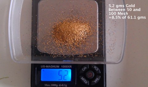 Gold Strike Micron Gold